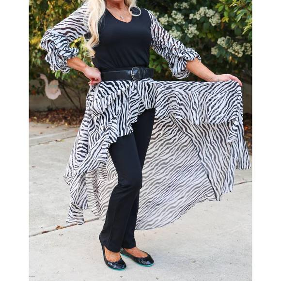 AZI | Tops | New Azi Bodice V Neck Tunic With Zebra Print Sheer Sleeves ...